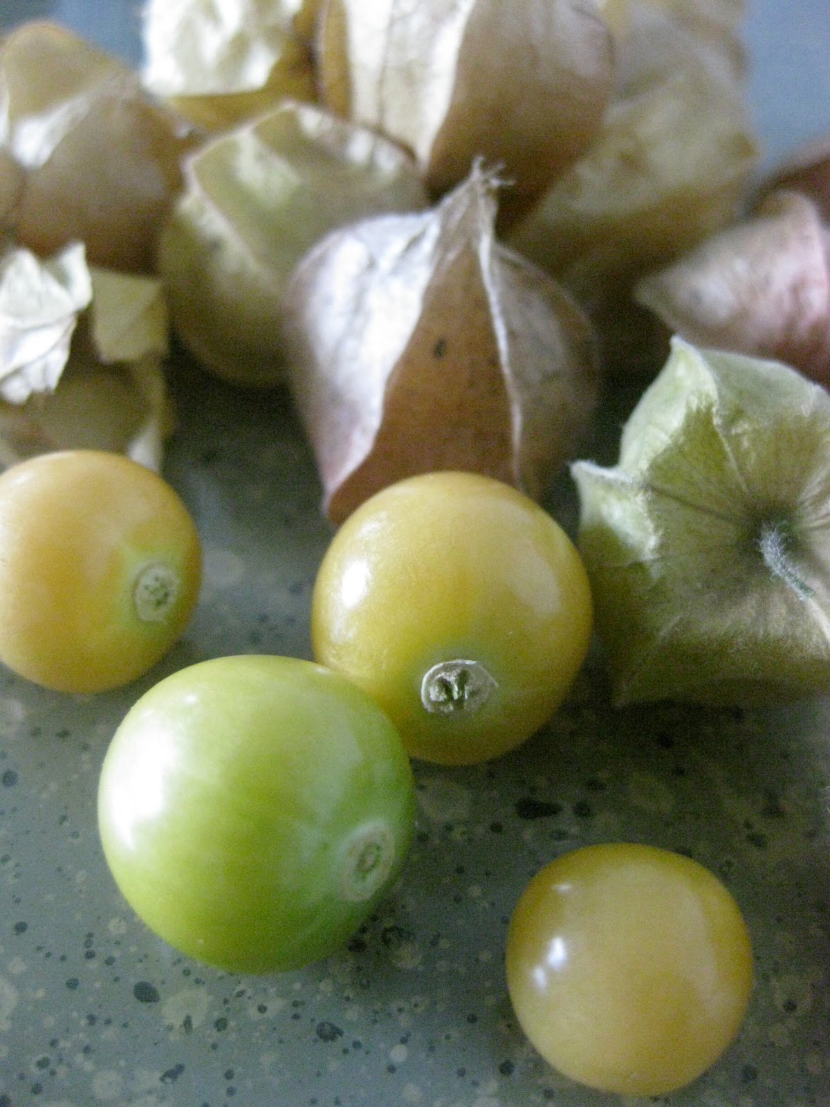 Northeast Locavore: Husk Cherries