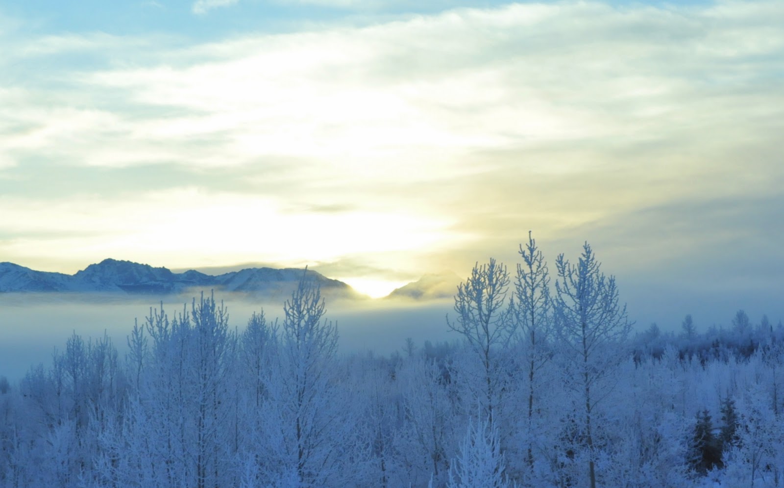 Finding My Aloha: First Impressions of Alaska