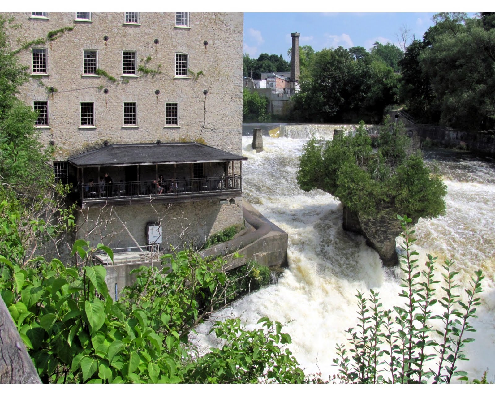 The World of Gord: Elora LCBO and Elora Special Bitter