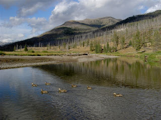 Silver Tip Trip: Pictures of Silver Tip Ranch