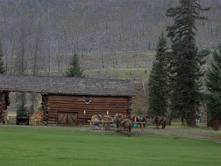 Silver Tip Trip: Pictures of Silver Tip Ranch