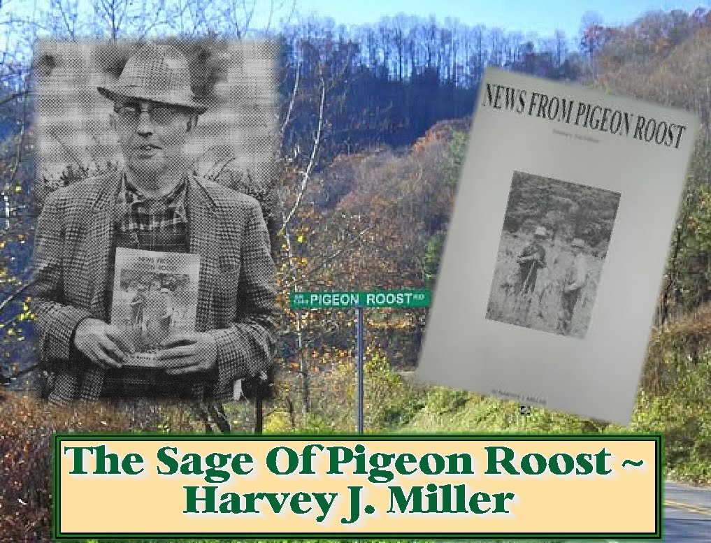 The Arrowood Trail Thru the Mountains: The Sage Of Pigeon Roost ...