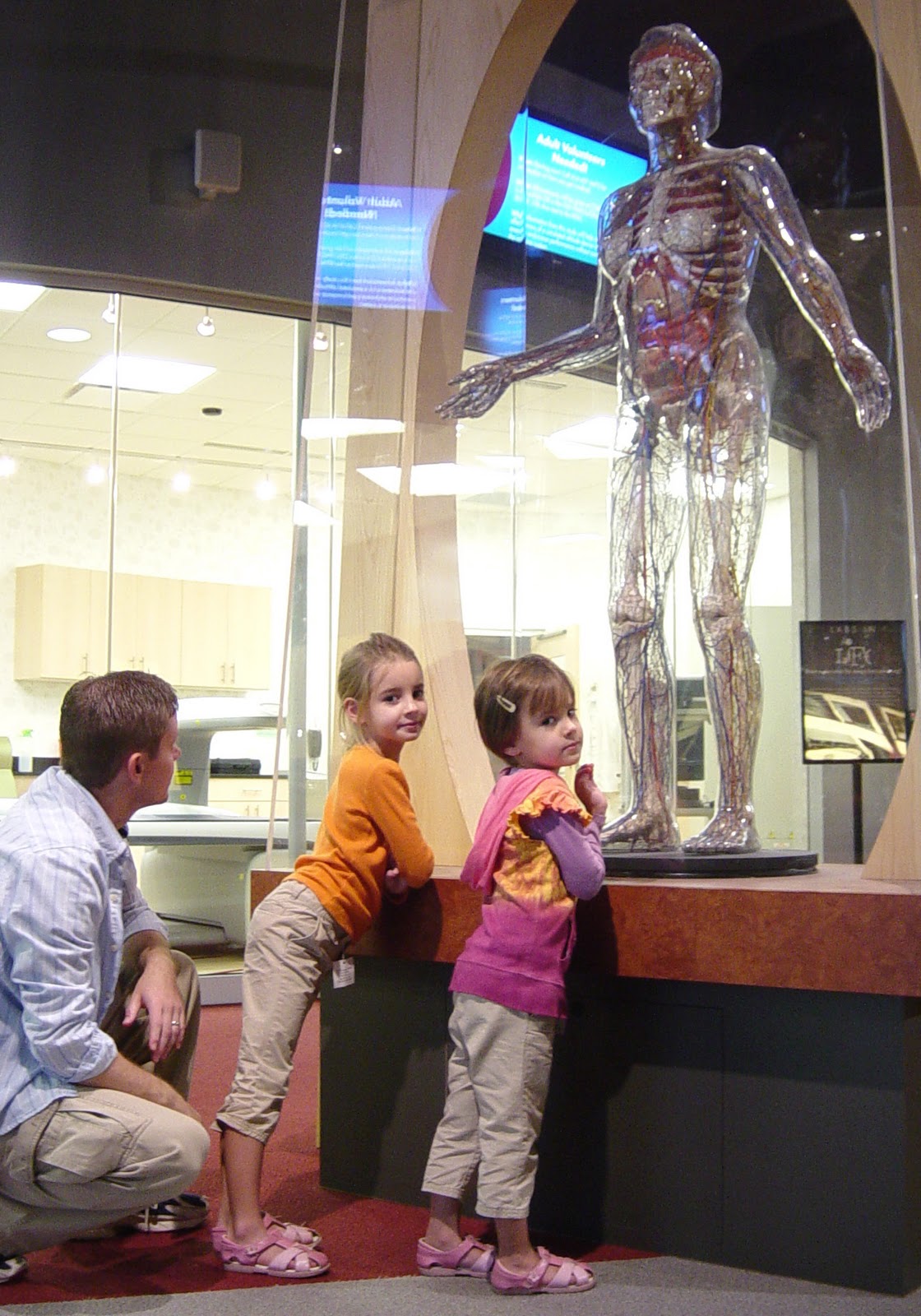 Blogging in the Ohio 12th: Science Part I: Human Body