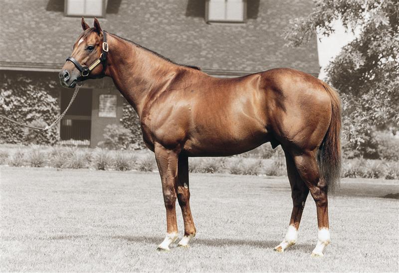 TuzigootJournal: Lexington - Kentucky Horse Farm