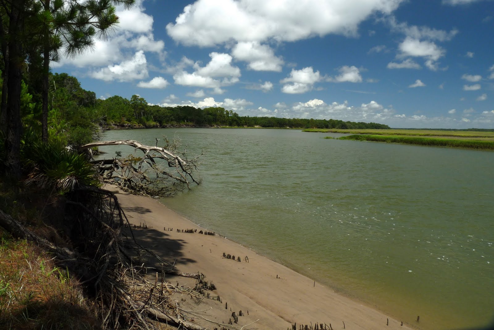 Sapelo Island - August 2010