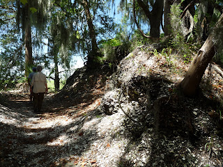 Sapelo Island - August 2010