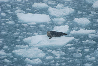 Bill-Alaska Geoscience: Cryosphere: Arctic Sea Ice