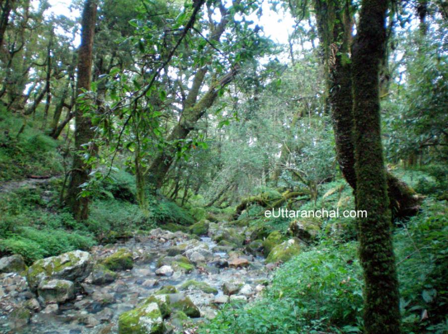 Himalayan Highlander: 'Rudranath ki Chadai, German ki Ladai'