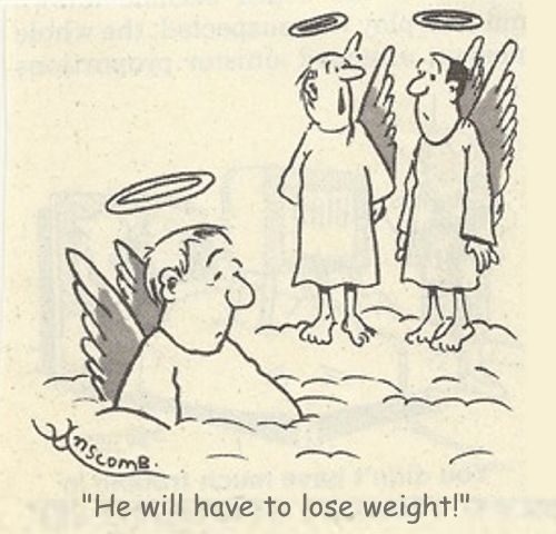 Fundamentalist Funhouse: Fat Angel