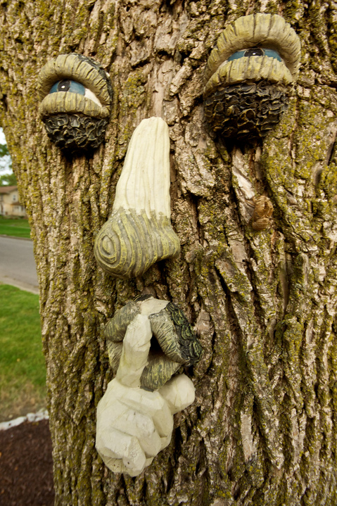 Dreams & Happy Things...: Tree Faces