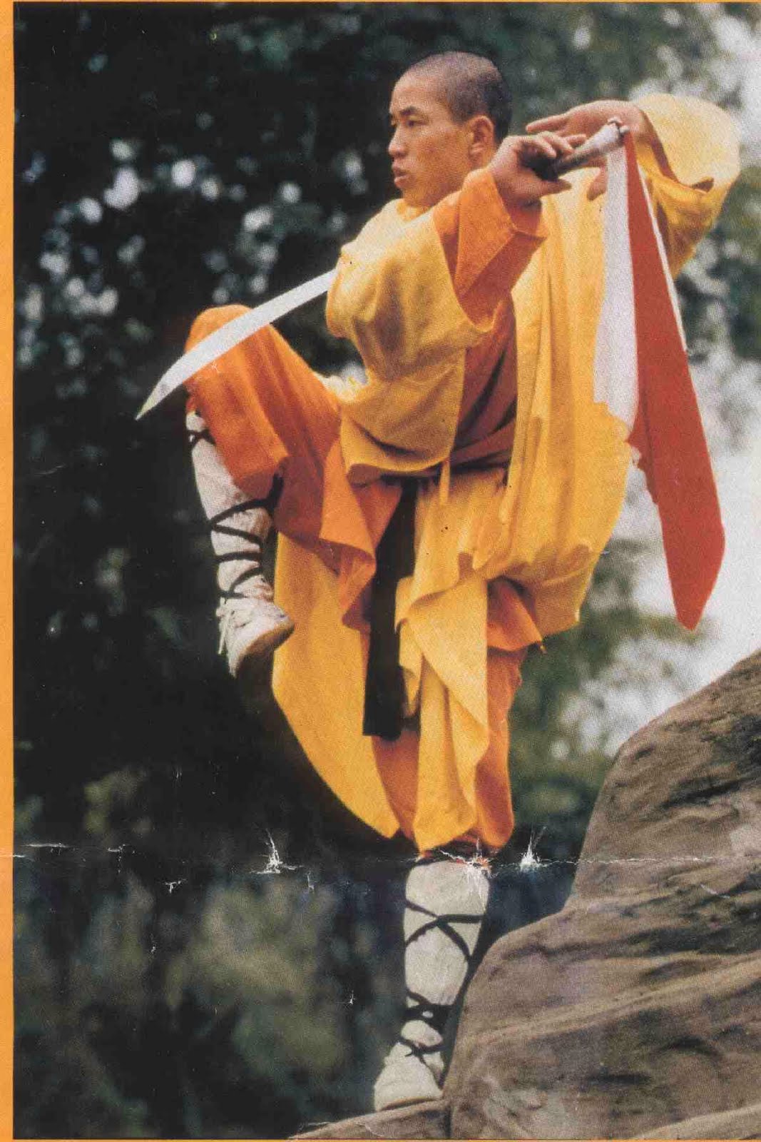 cgk: shaolin kung fu- wushu