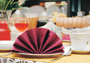 konGSi iLMu F&B: LIPATAN NAPKIN