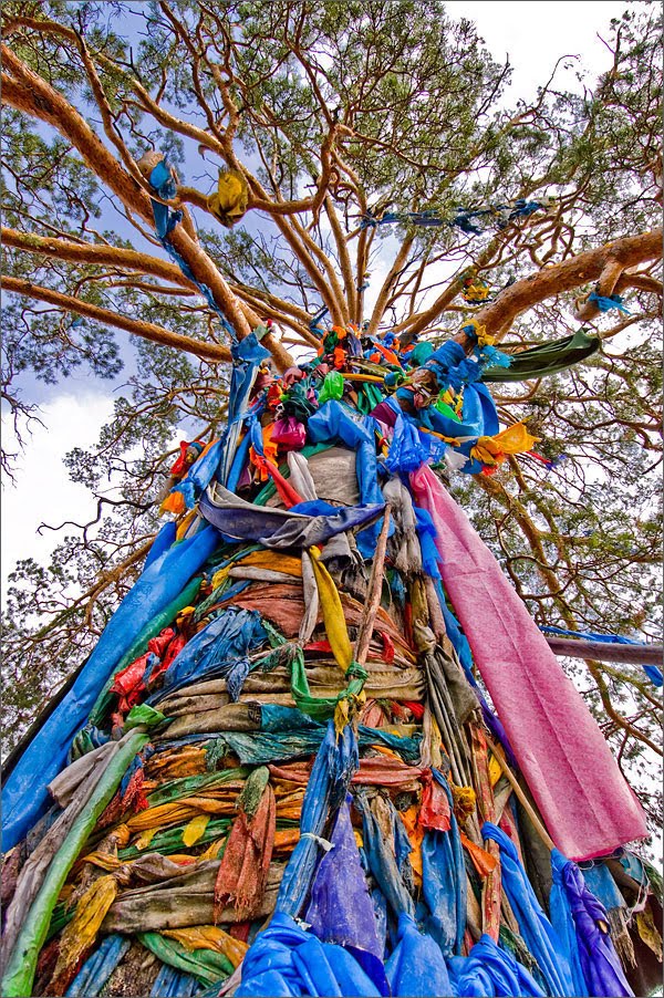 Тэвч, итгэ, хүлээ тэгвэл чи ялна: September 2010