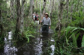 Photo Journal: Swamp Walk - Muck About - 2008