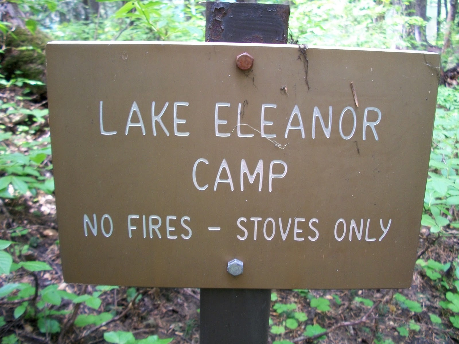 Rainier Love: Eleanor Lake + Grand Park ("Through the back door") July ...