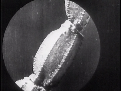 Kinoise: A Film Diary: The Three Early Films of Luis Bunuel (1929-33 ...