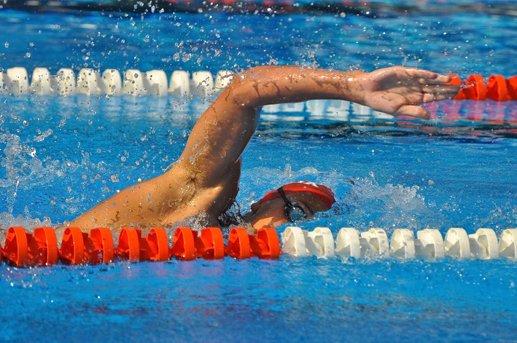 NATACIÓN STADIUM VENECIA: MAS FOTOS DEL GRAN PREMIO DE NATACION