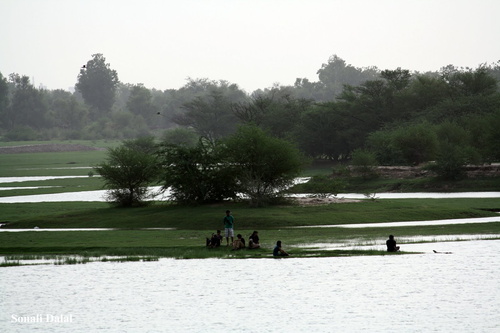 Photography and beyond: Thol Lake Landscape, Ahmedabad