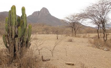 Los Misterios del Cerro Pilan | Chulucanas Noticias