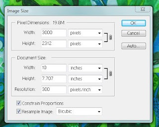 Periwinkle-Paisley: Creating Repeating Patterns in Photoshop Tutorial