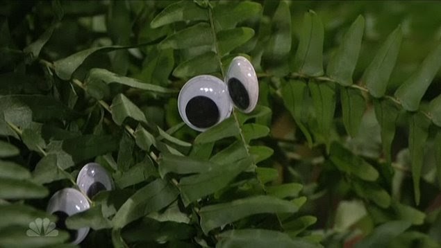 No seeds, no fruits, no flowers: no problem.: Googly Eyes Gardner