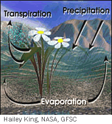 Waterinfo: Water Evapotranspiration and Transpiration | World Water ...