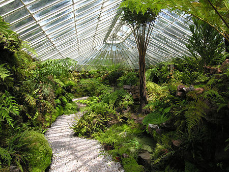 Welcome to gardening designs: Fernery
