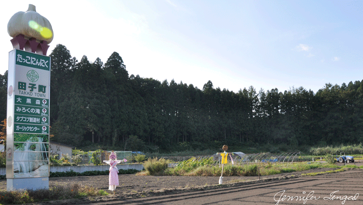 Traveling around Misawa, Japan: Takko Garlic and Beef Festival