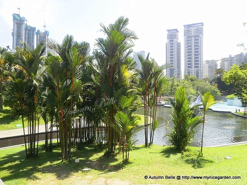 My Nice Garden: Biodiversity and Conservation at KLCC Park
