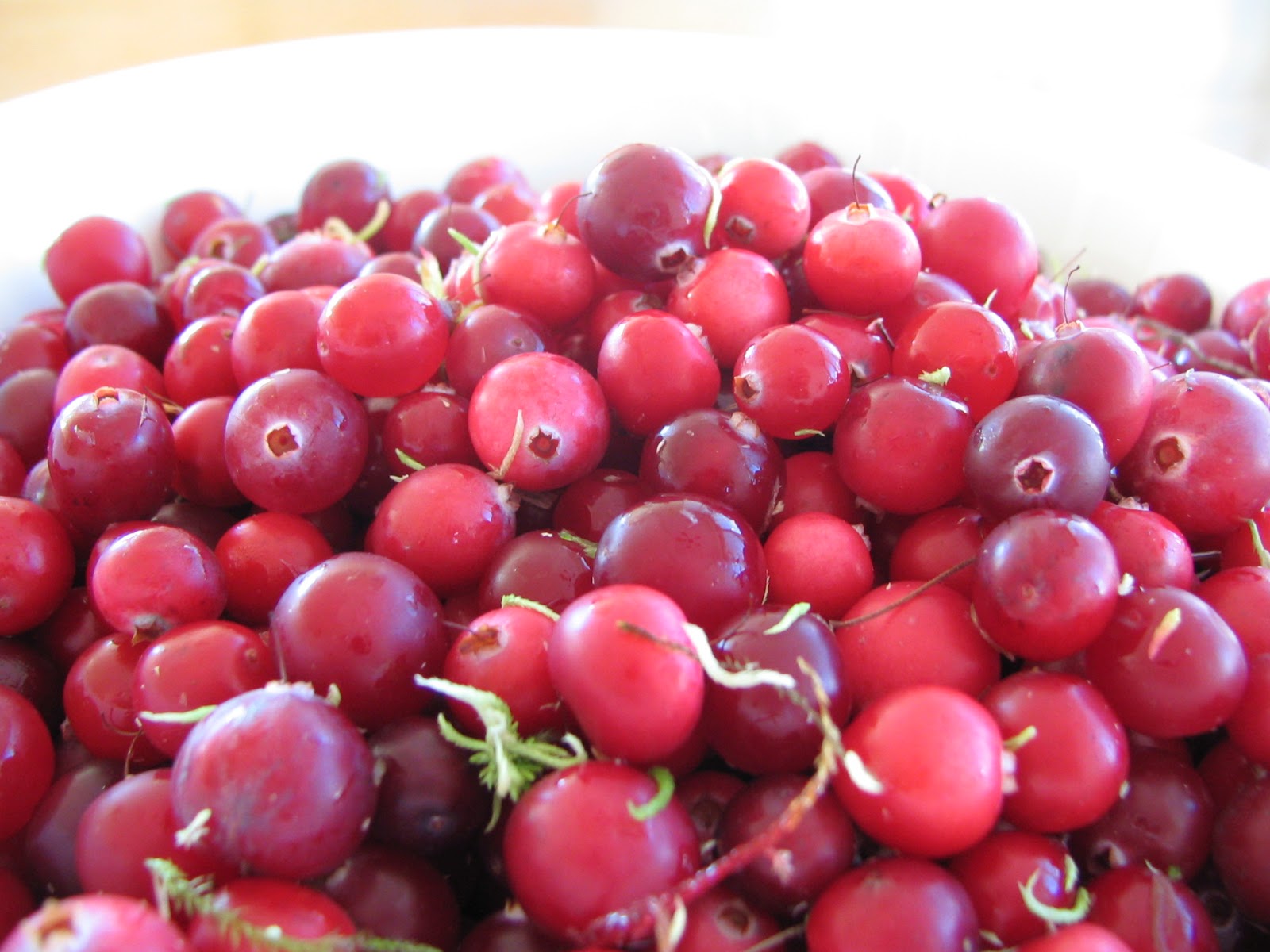 Hopeasinisiipi: lokakuuta 2010