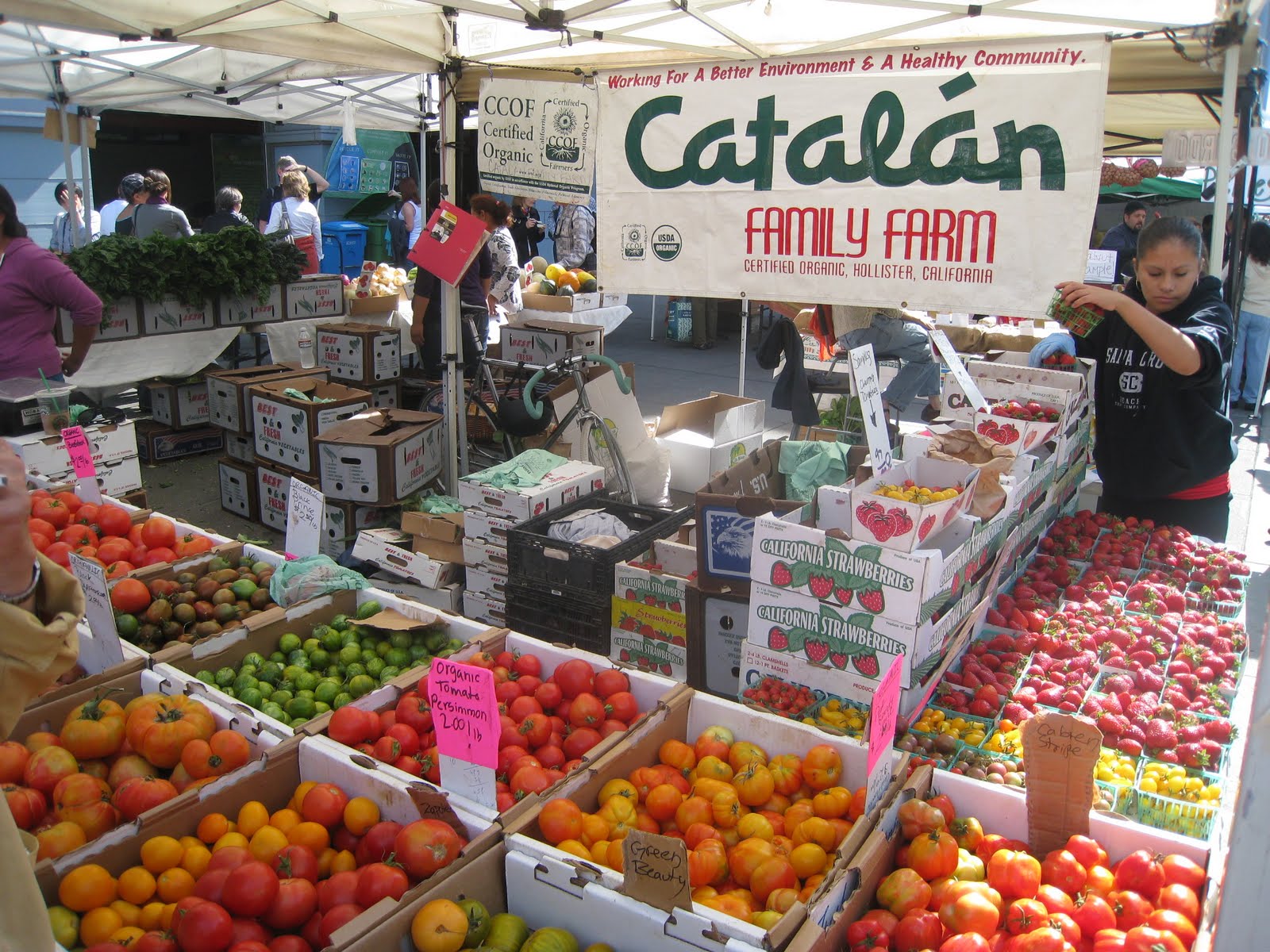 dalpescatore: Catalan fruits