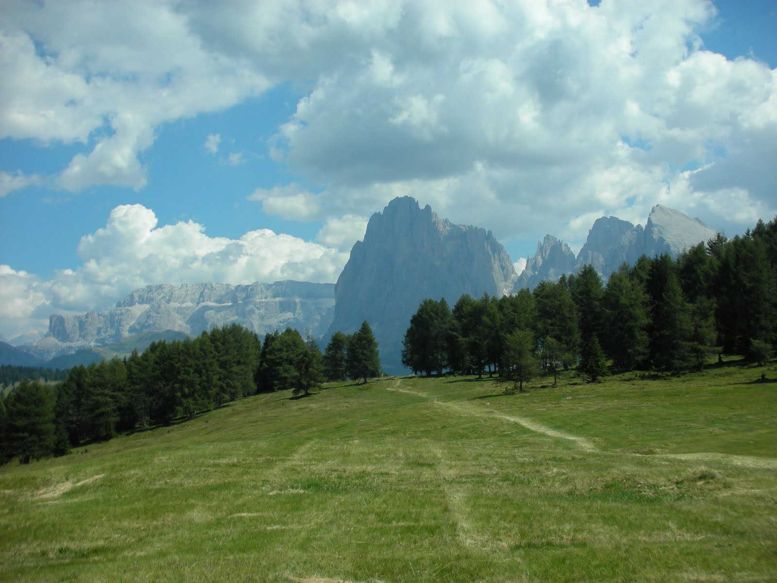 From Miami to Rome . . .: August 2007 - Alpi di Suisi - Summer Alpine ...