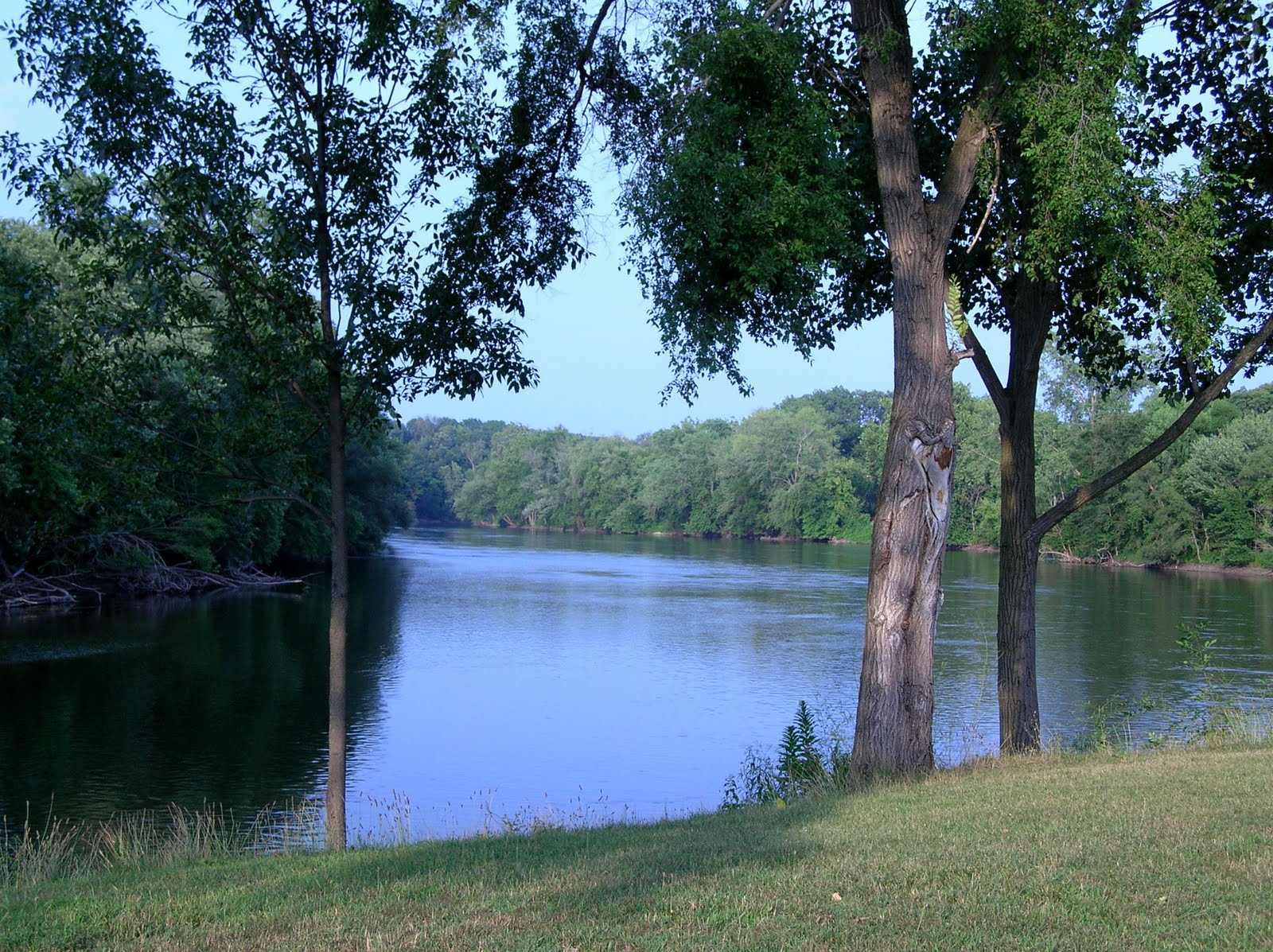Get Your Botany On!: River Scenes and Plant Quiz