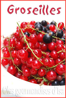 FINANCIERS AUX GROSEILLES ET CASSIS