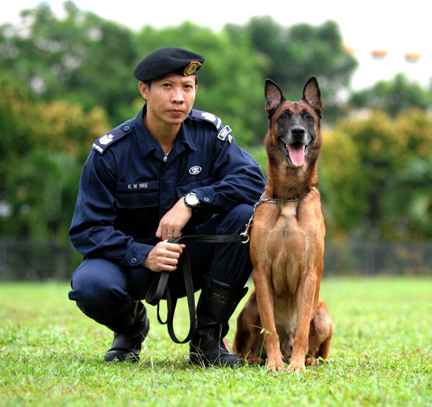 LEON's Fotografía: SCDF K-9