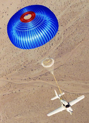 Bayou Renaissance Man: Weekend Wings #26: Survivors