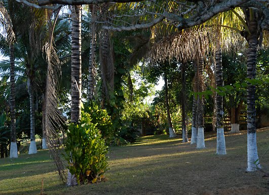 Sítio do Sol