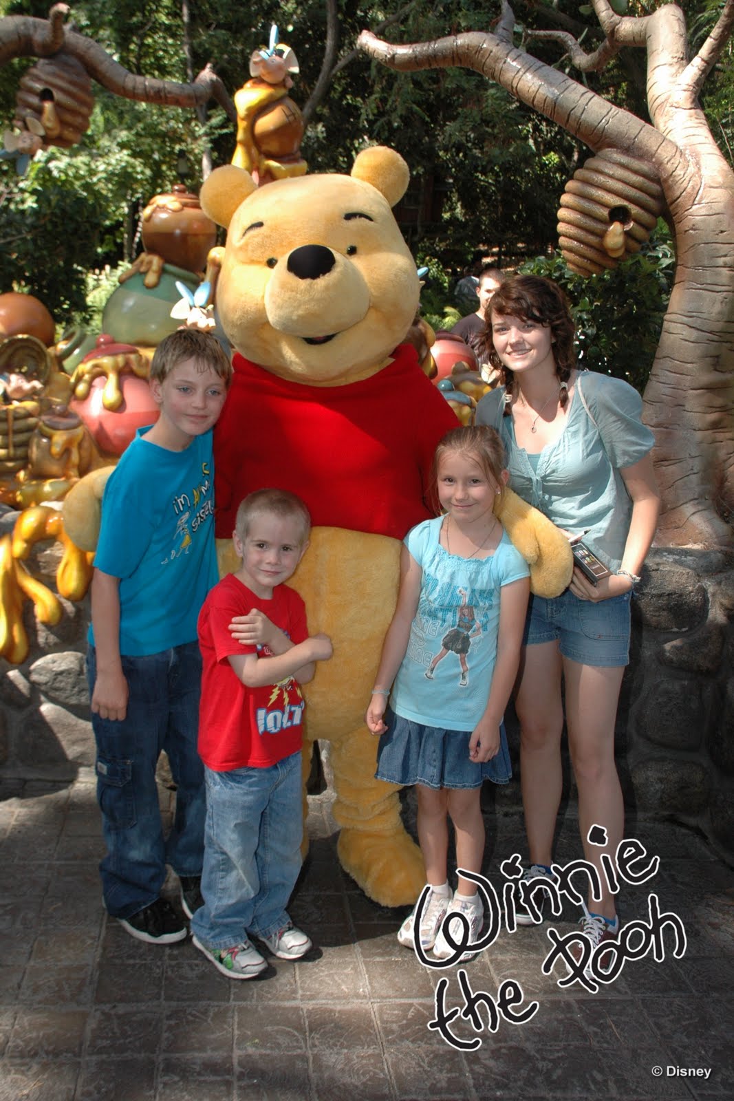 The Emery Family: Disneyland Pictures