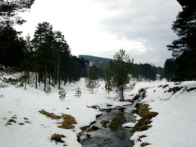Fotografije Srbije - fotografije, slike, gradovi, jezera, reke, planine ...