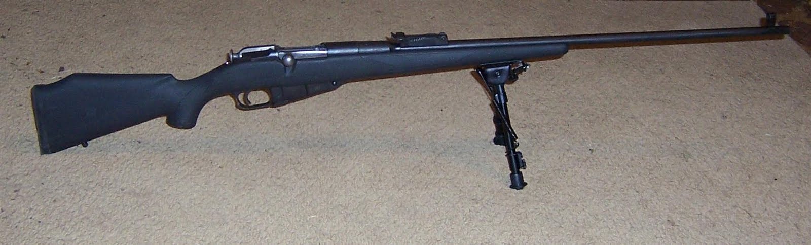 Mosin Nagant Custom