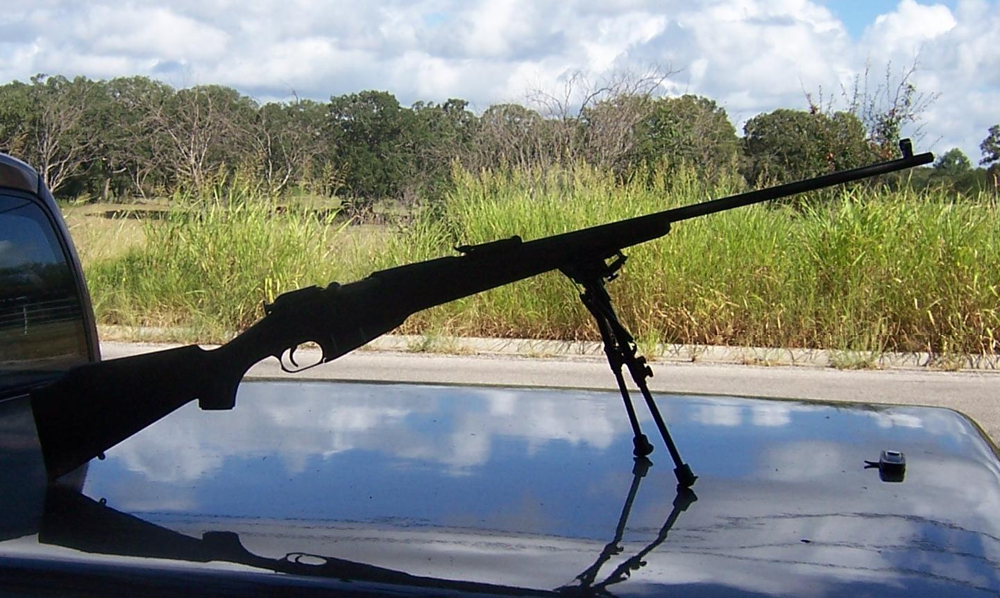 Custom Mosin Nagant Scout