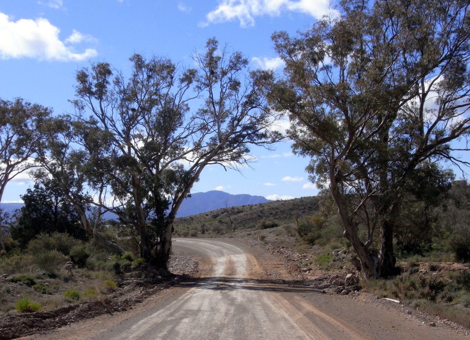 BejoPics: HH Day 7 : Copley to Mt Chambers Gorge 03 (Nepabunna)