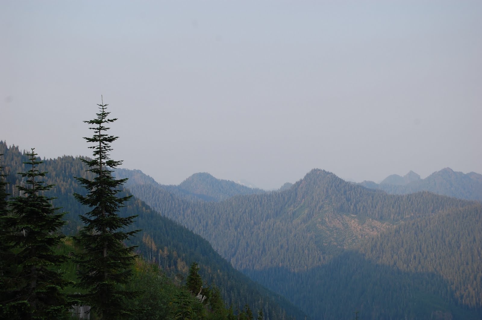 Sand Report: Ocean Shores Day Trip - Past Wynoochee Falls Towards ...