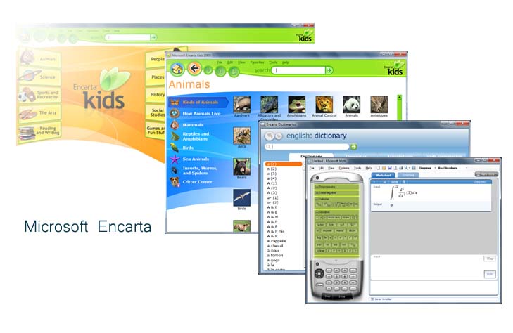 Microsoft encarta dictionary - inputexecutive