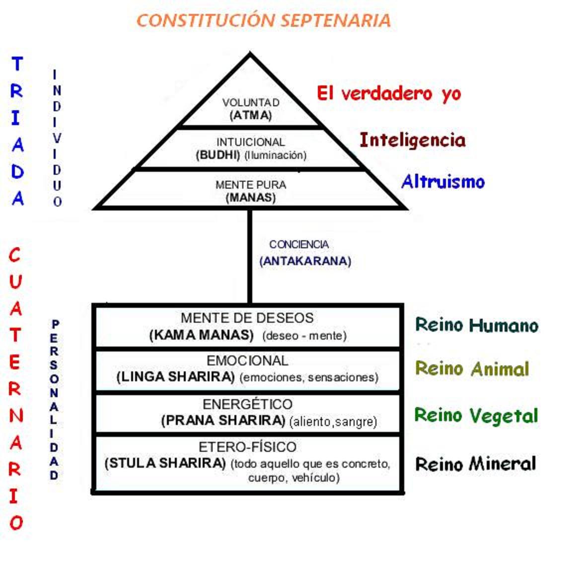 Somos la clave | Una nueva perspectiva: CONSTITUCIÓN SEPTENARIA DEL HOMBRE