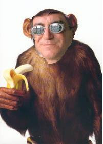 Incana_RM: Votação: "Devemos tentar trazer o Zé Cid às festas de Nª Srª ...