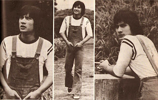 Cool Ass Cinema: Shaw Brothers Cinema: The Life & Death of the Great ...