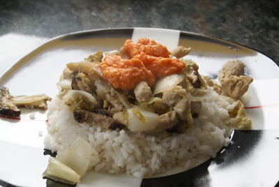 SABORES DEL MUNDO: GOHAN DE POLLO ZASAI (Japon)