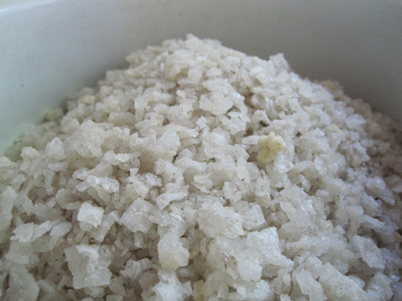 Lavender Moose: Epic Salt Adventure