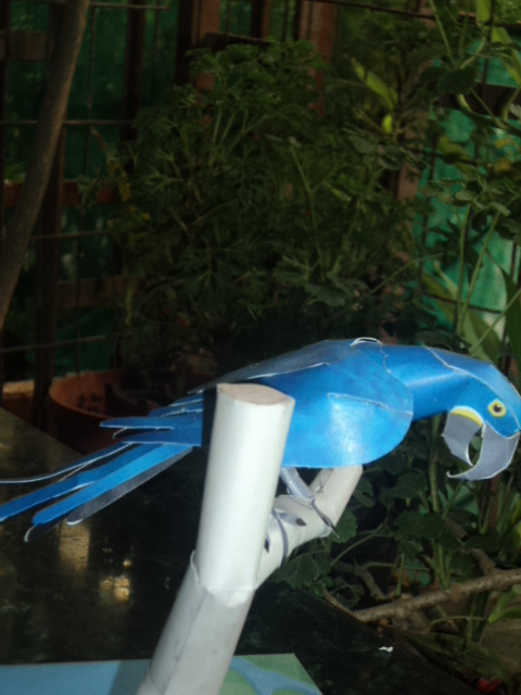 Sunil Date's Paper Craft: Hyacinth Macaw